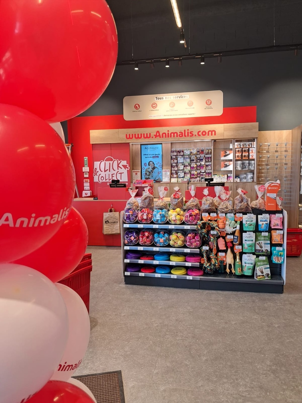 Animalis Nîmes : tout pour vos animaux