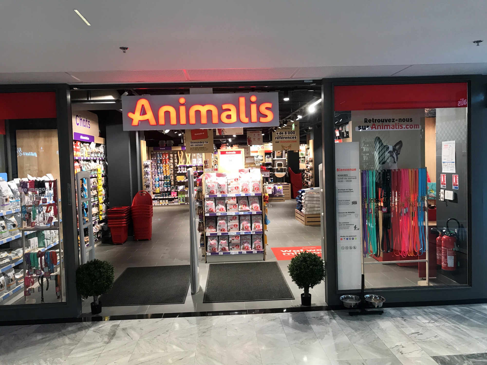 Animalis Saint-Germain-en-Laye : tout pour vos animaux