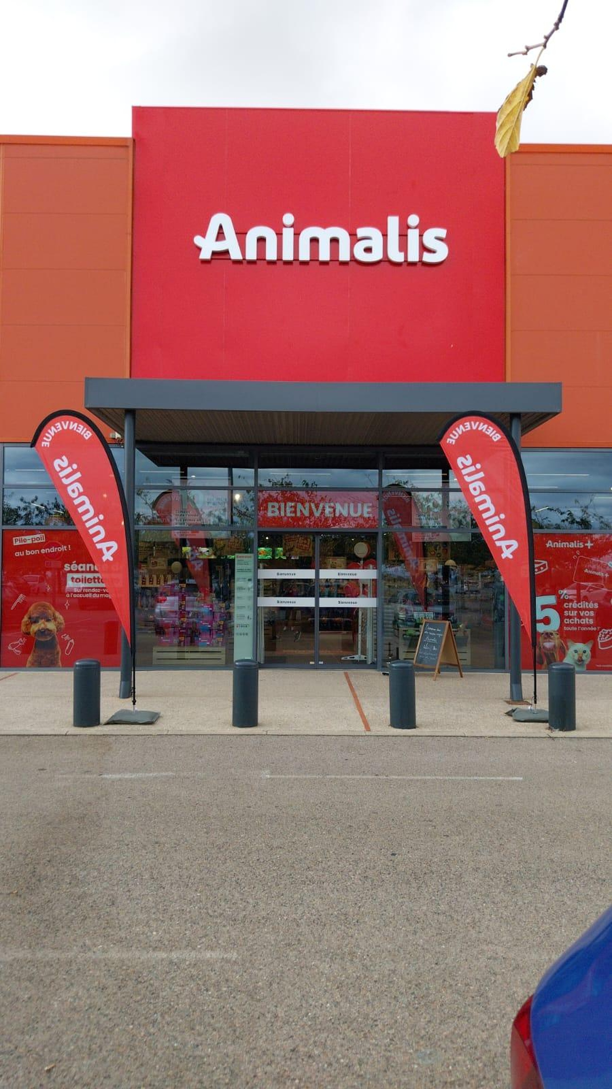Animalis Claira : tout pour vos animaux
