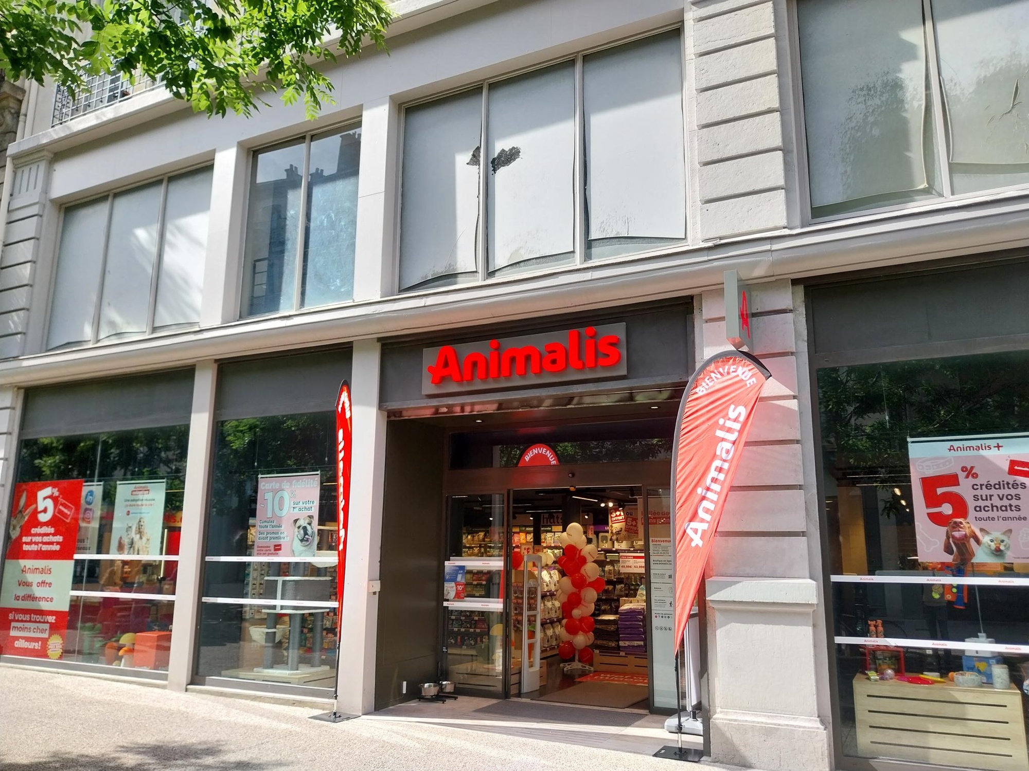 Animalis Grenoble : tout pour vos animaux